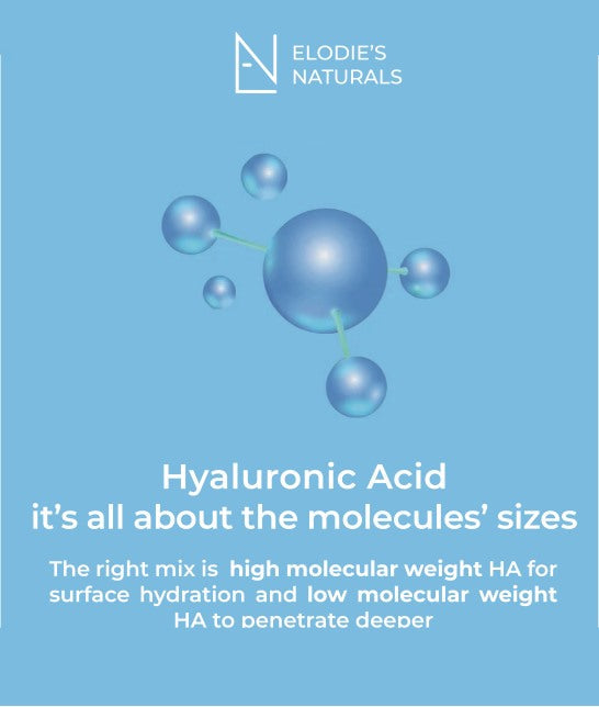 The INCI Decoder: hyaluronic acid, Sodium Hyaluronate – Elodies Naturals